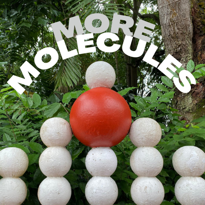 More Molecules | More Molecules | LaoBan Records