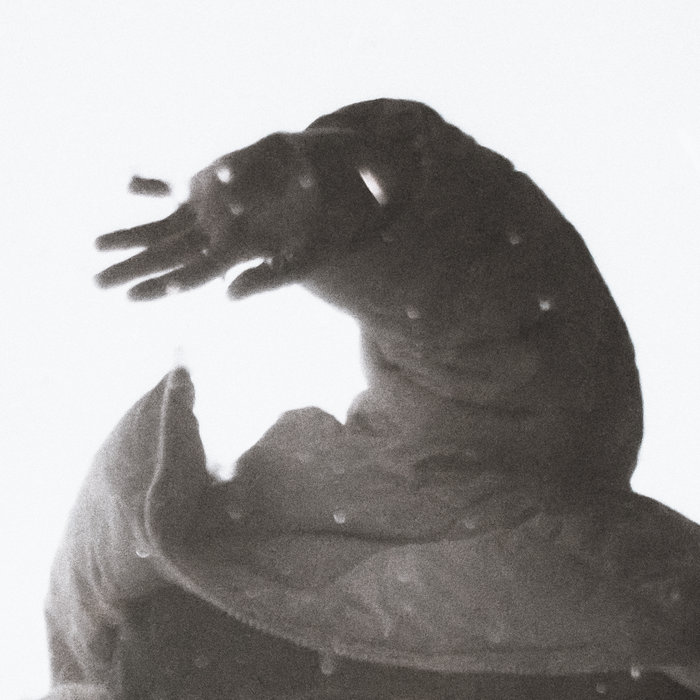 Fragments | orfin