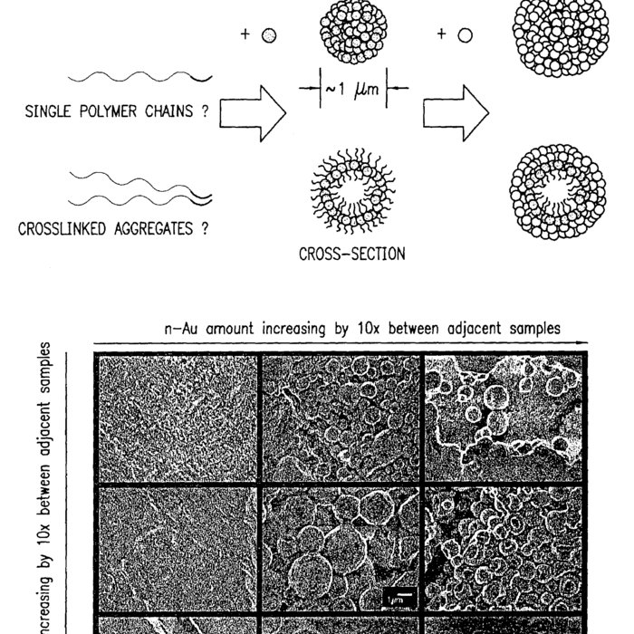Cbz Deprotection Hbr Mechanism Of Labour | Maxiray | lanberofounbo