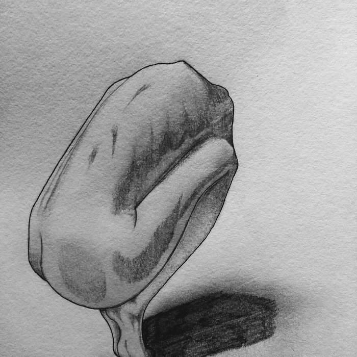 Male Order Bride | Sororise