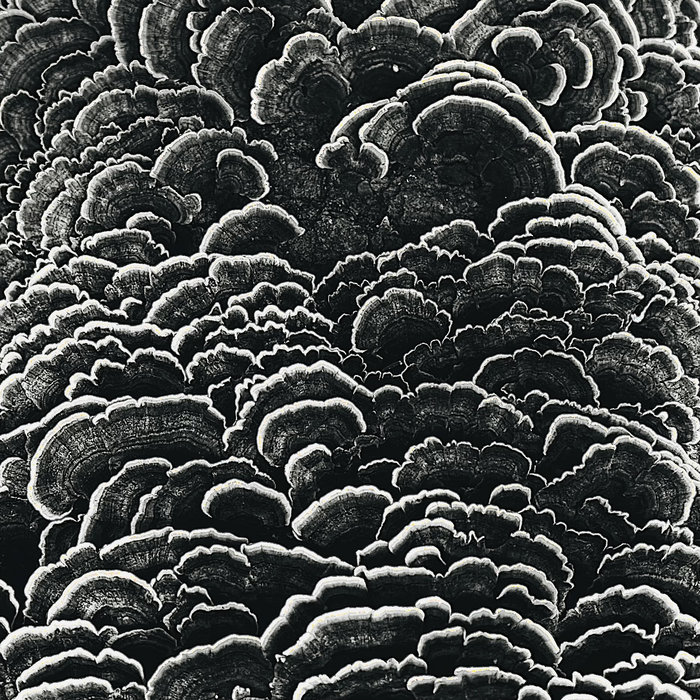 Understanding is a Three Edged Sword | Baghdad Battery