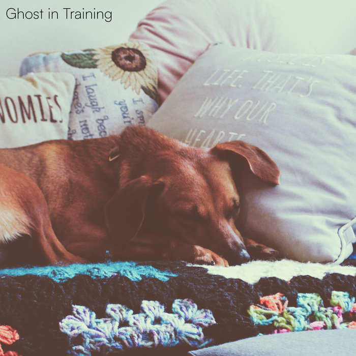 No molestar / Perdón por no contestar tu llamada | Ghost in Training