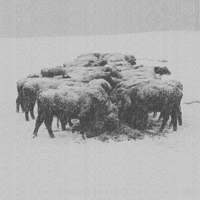 Old Demos | Ryan Looman | Glass Mountain