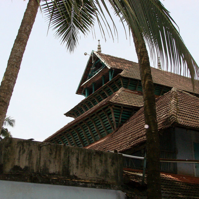 Watch Madom Don In Hindi | Jeweld | cheitemtemo