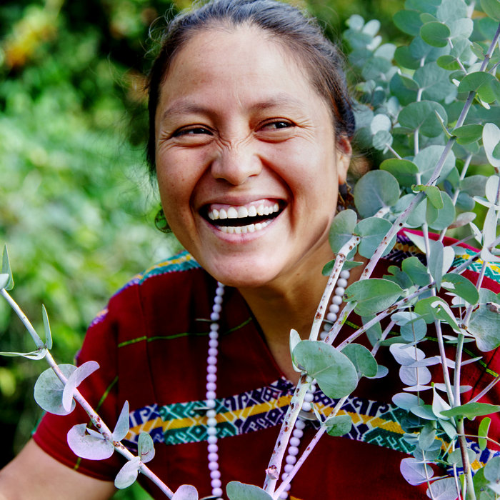 Los Cuatro Elementos De La Cultura Maya | Xtis