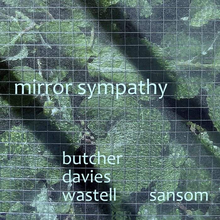 mirror sympathy | Butcher, Davies, Sansom, & Wastell | Matthew Sansom