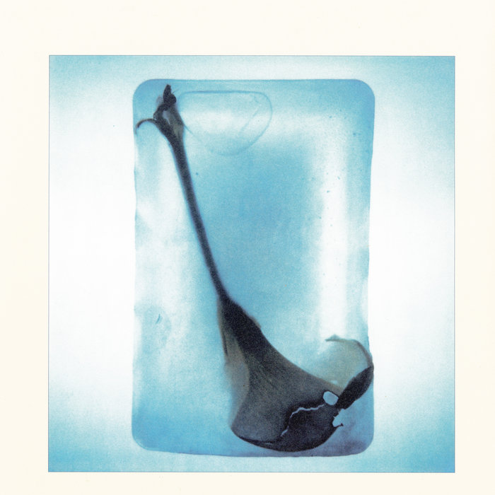 Wadada | Noah Lyas | Profundo Collective