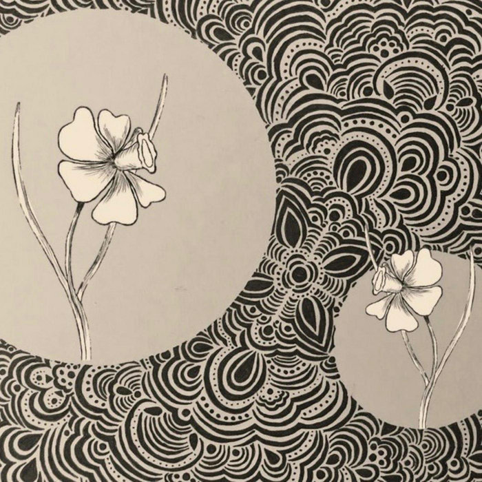 Coconut Oil | Bridget Hartman & Camilla Vaitaitis