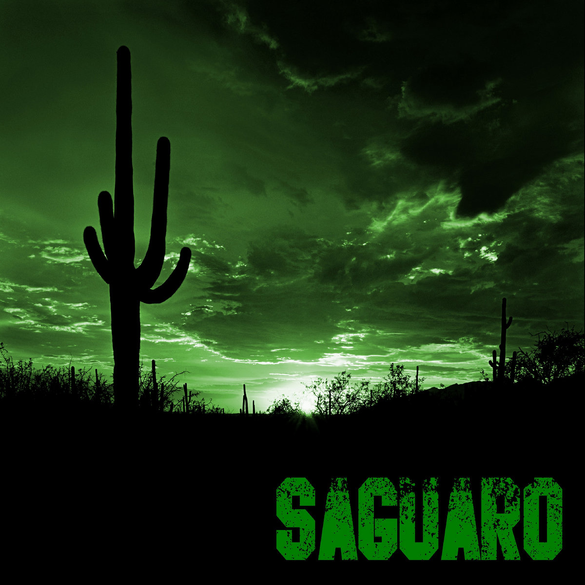 Saguaro (Demo) | Saguaro