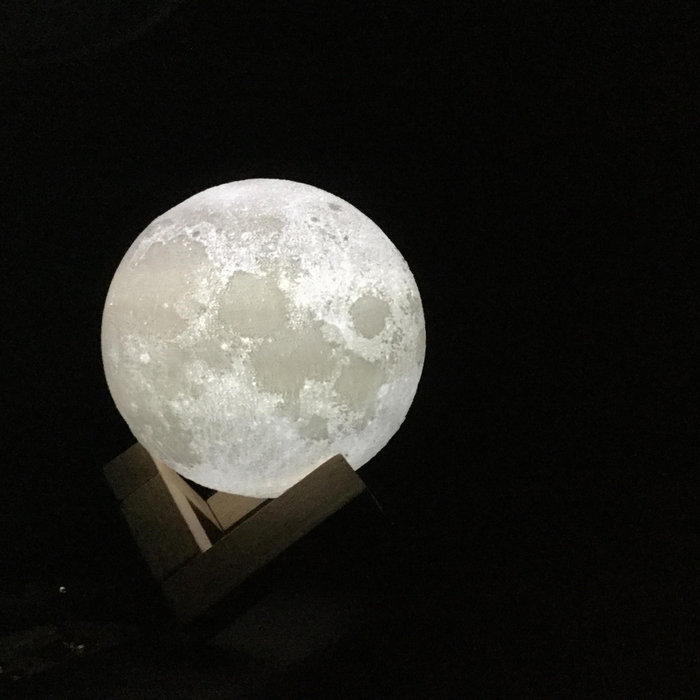 Help, I Got Trapped in the Computer | rollos