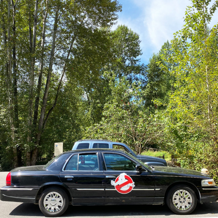 INCOGNITO | THATS NOKAY