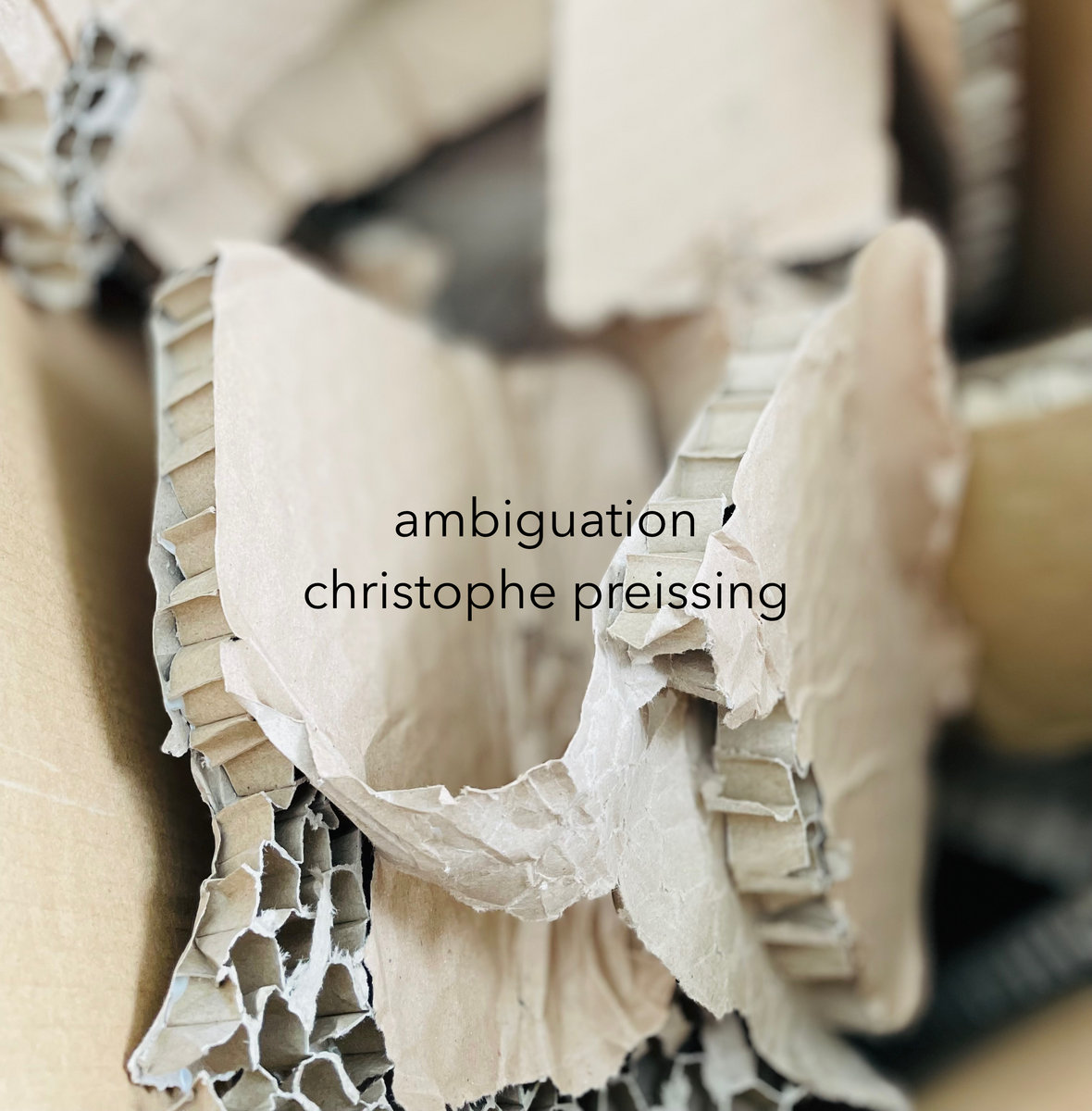 Ambiguation No. 1 | Christophe Preissing
