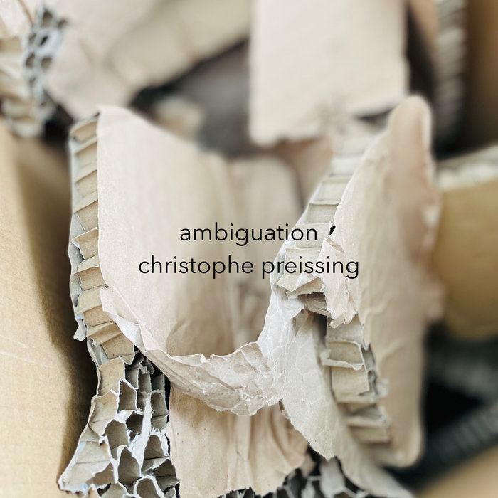 Ambiguation No. 1 | Christophe Preissing