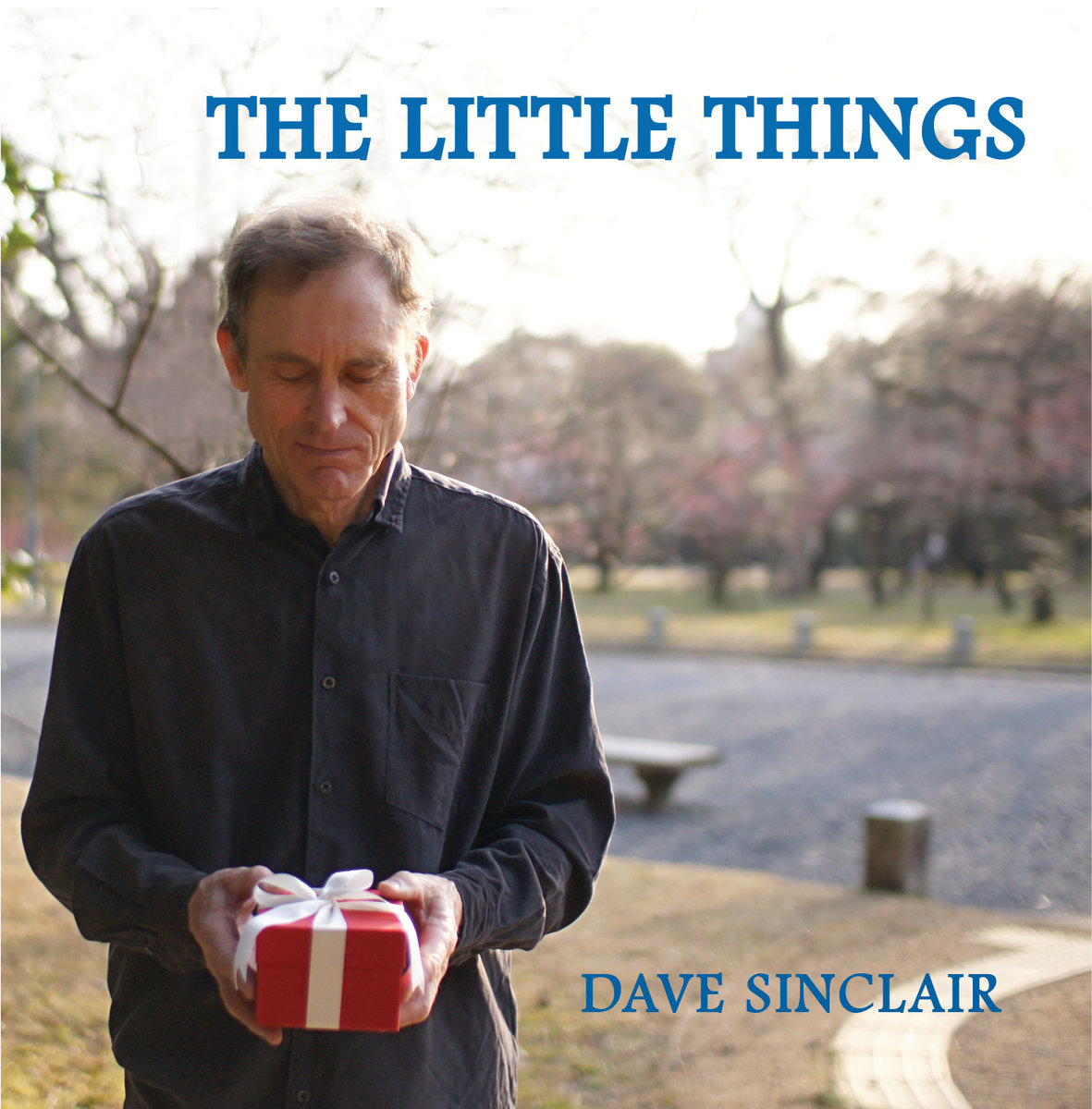 Little Things Album Cover
