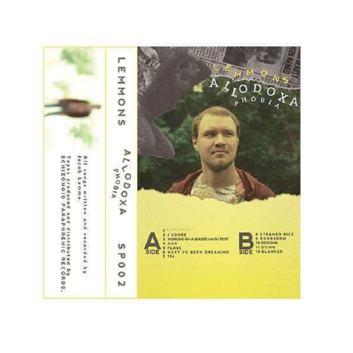 The Lemmons - Allodoxaphobia | The Lemmons | Schizonoid Paraphrenic Records