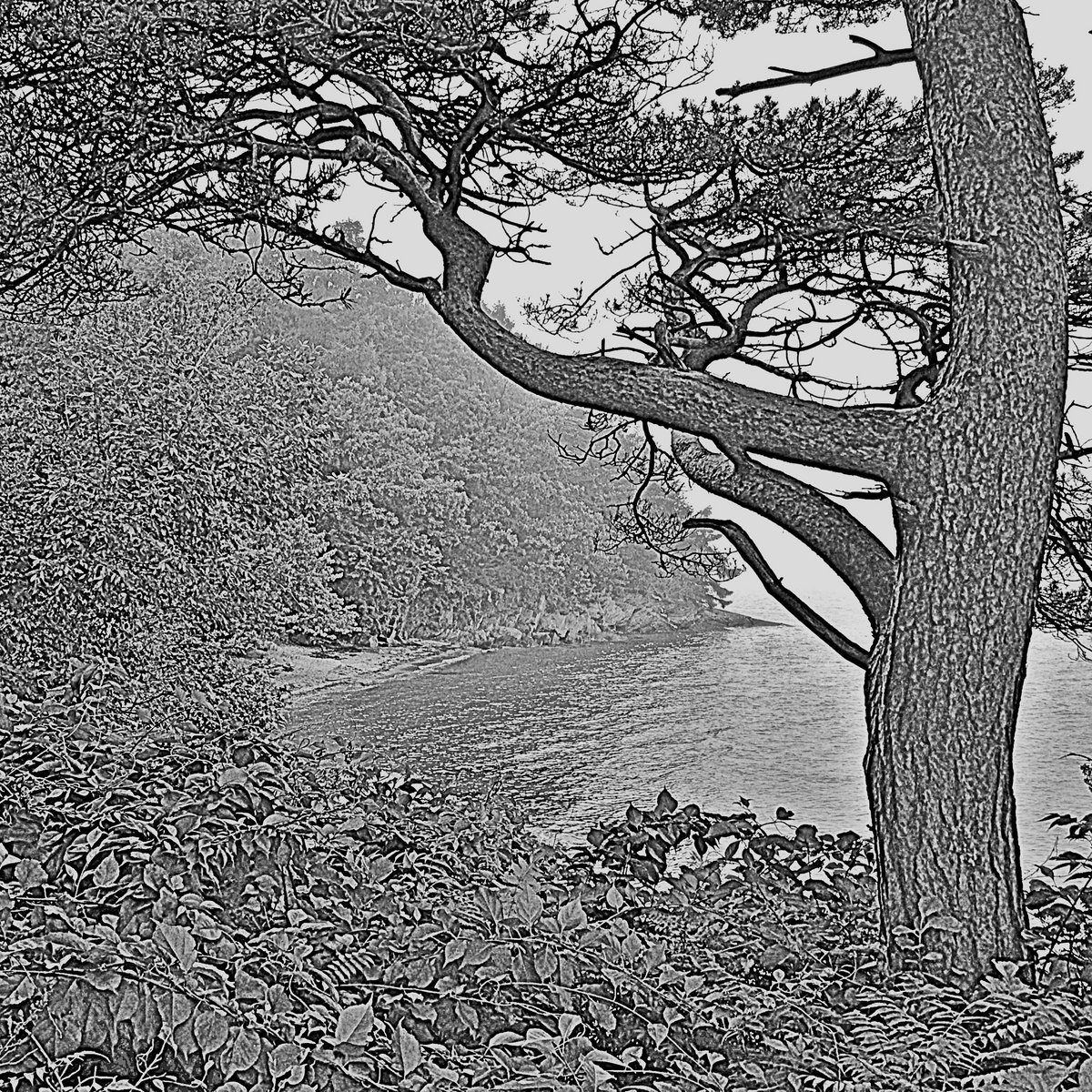 How Far The Eye Can See | Flesh Relic