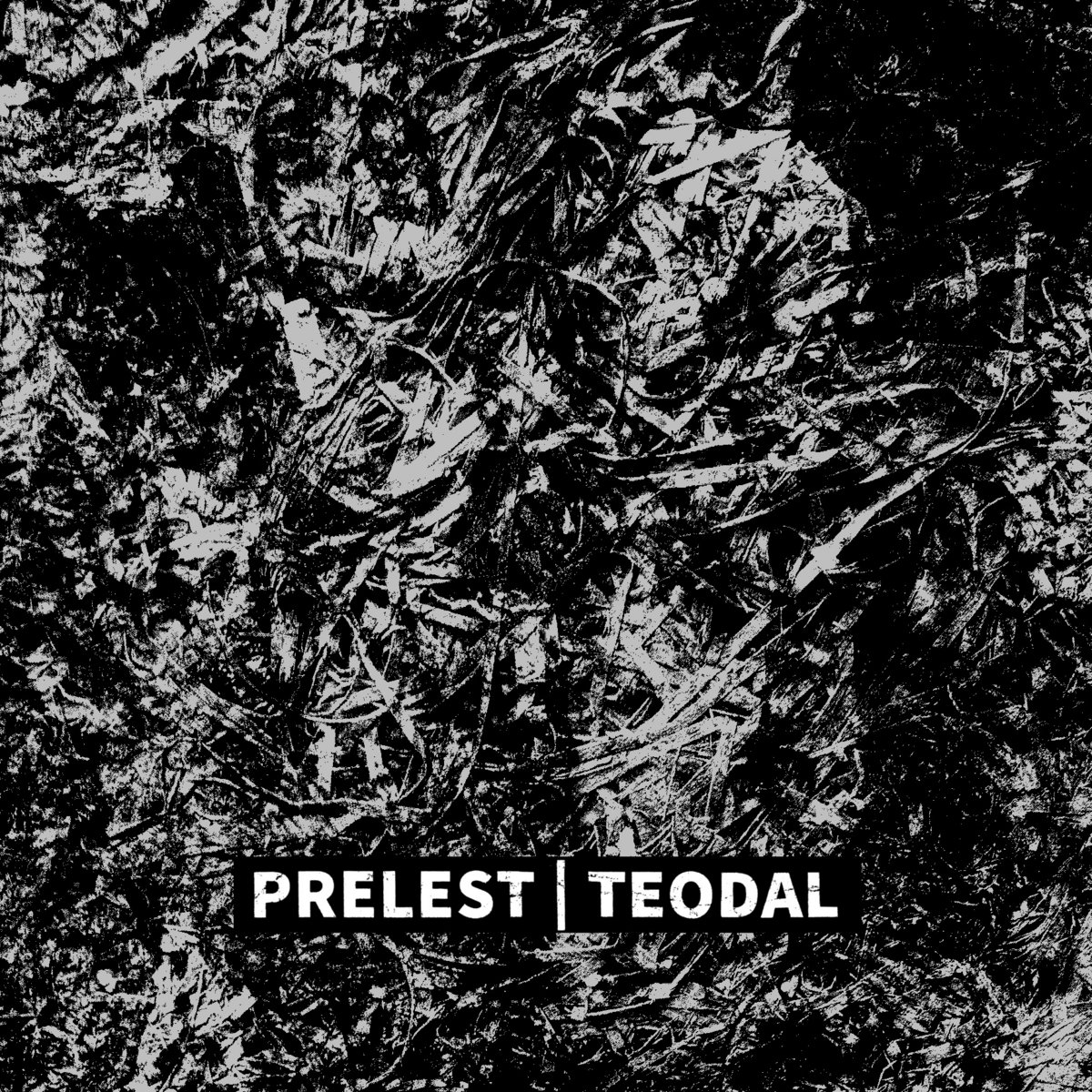 Teodal | Prelest