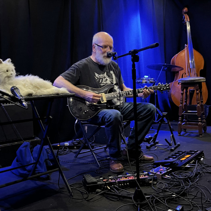 Kitten and woosh | A Cat and a Human