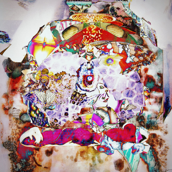 Dream Big Fish | Julius Gawlik, Thorbjørn Stefansson, Marius Wankel ...