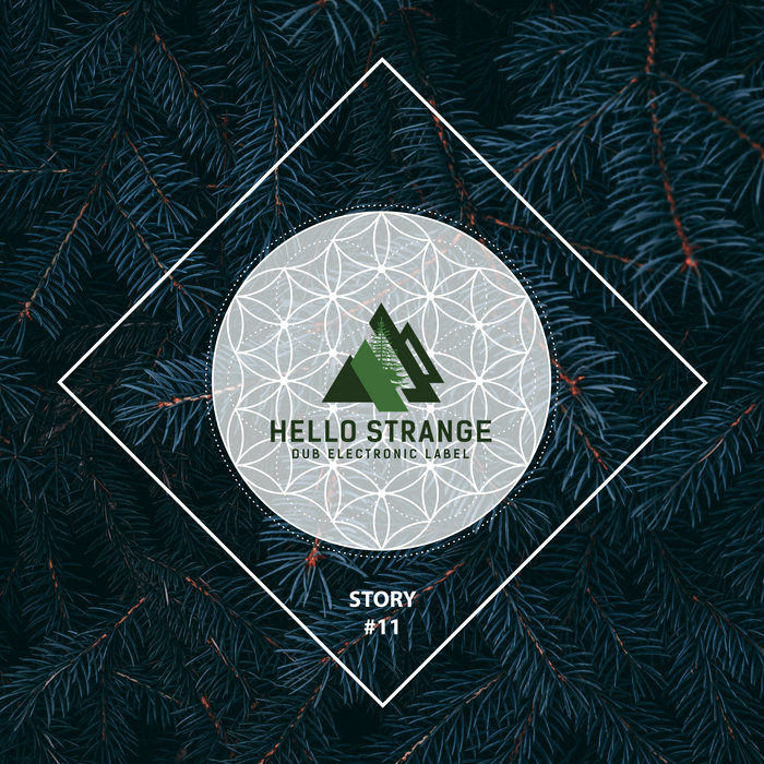 hello strange story #11 | hello strange