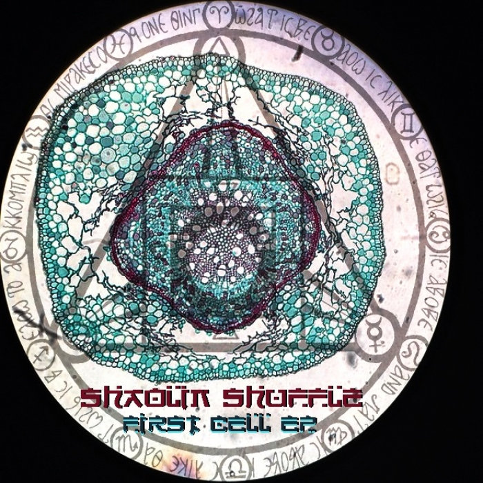 Shaolin Shuffle - First Cell EP | Anyer Quantum / Shaolin Shuffle