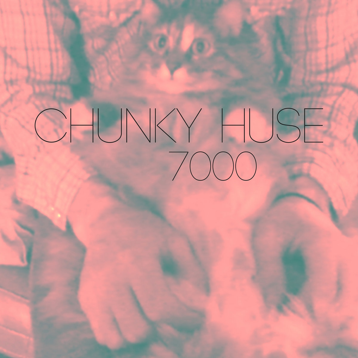 7000 | chunky huse