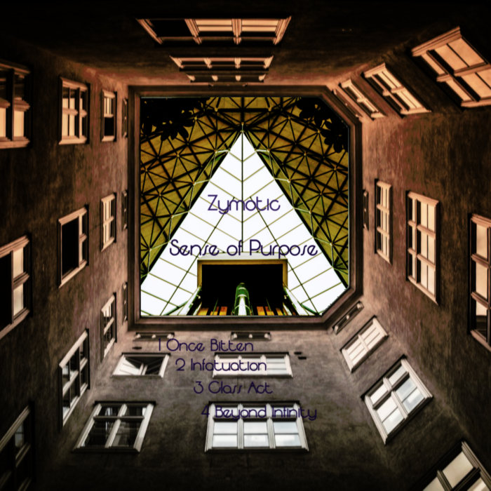 Sense of Purpose | Zymotic - Johan Willems