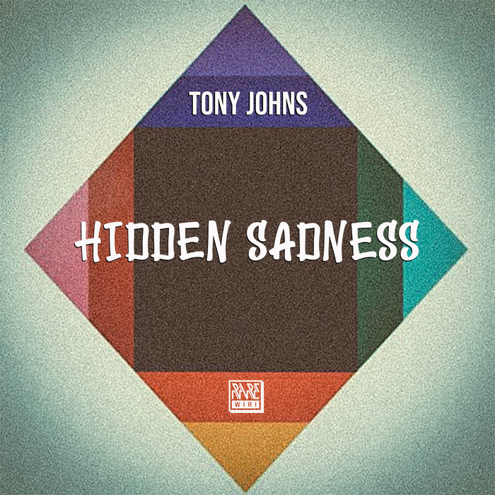 Hidden Sadness | Tony Johns | Rare Wiri Records