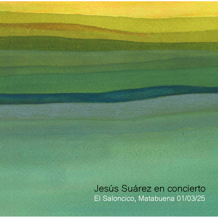 Jesús Suárez en concierto | Jesús Suárez