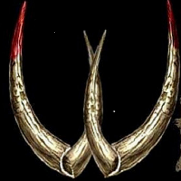 A Walrus At Heart | WereWalrus