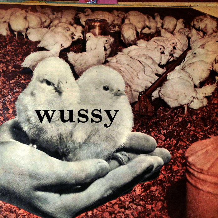 Wussy | Wussy