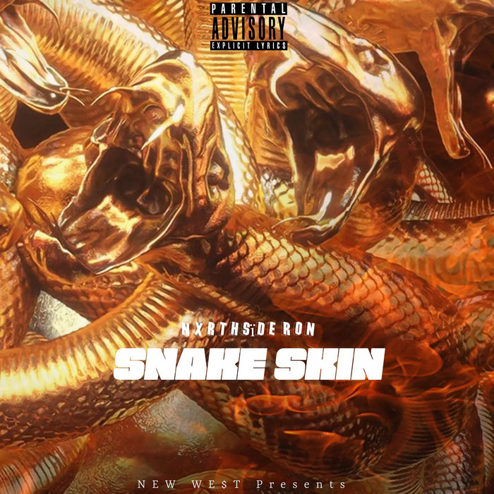 Snake Skin | Nxrthsïde Ron