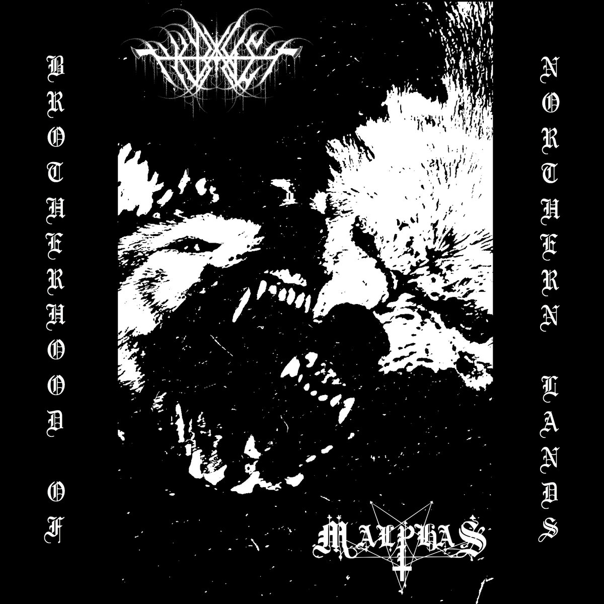 Brotherhood of Northern Lands (split) | Malphas