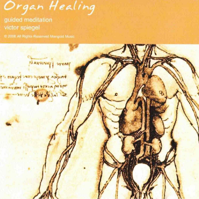 Organ Healing | Victor Spiegel