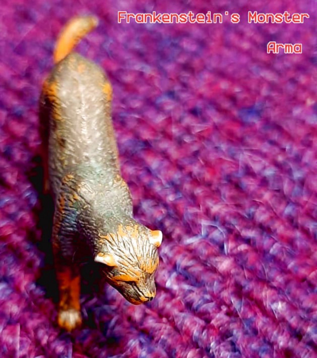 Frankenstein's Monster | arma