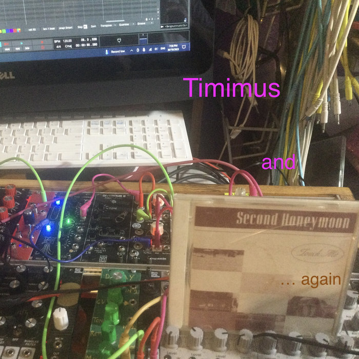 Touch me … again, in parts | Timimus