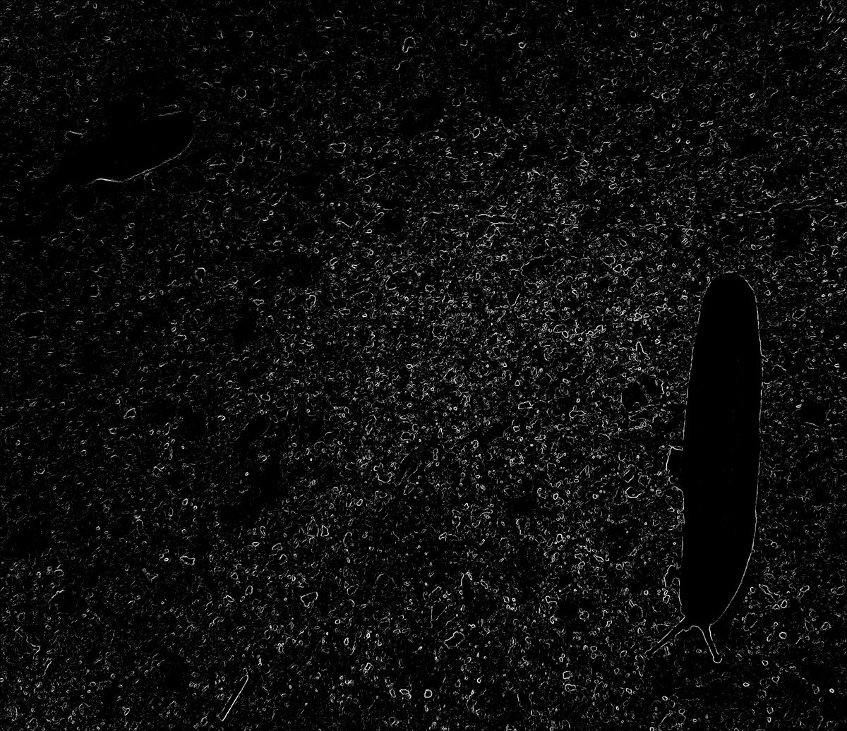 Slug Trails | Motorpül | motorpül