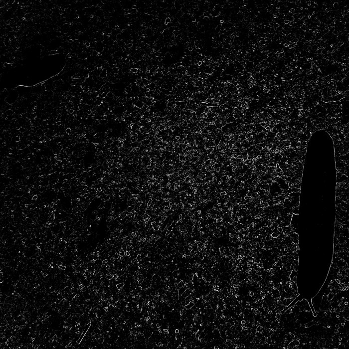 Slug Trails | Motorpül | motorpül