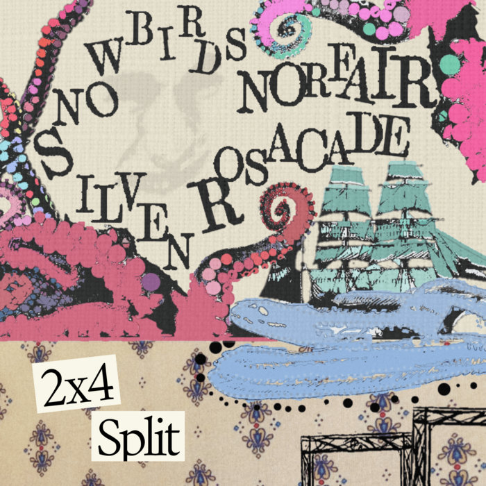 2X4 Split | rosacade