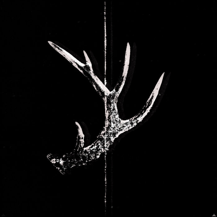 ANTLR II (Redux) | ANTLR