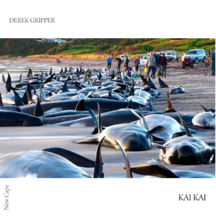 Die Akkerboom se Bas | Derek Gripper