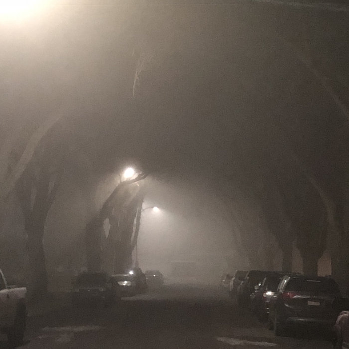 Shifting Shadows | why.what | Why.What