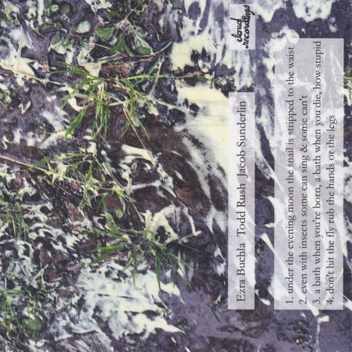 FOUR RHIZOMES | Ezra Buchla / Todd Rush / Jacob Sunderlin | Jacob Sunderlin