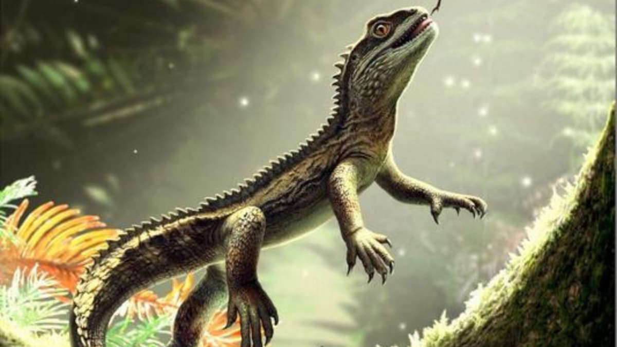 Fierce Lizard Rising | Adam R Sweet