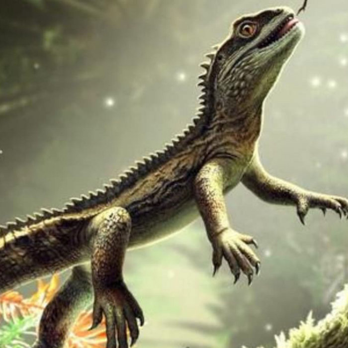 Fierce Lizard Rising | Adam R Sweet
