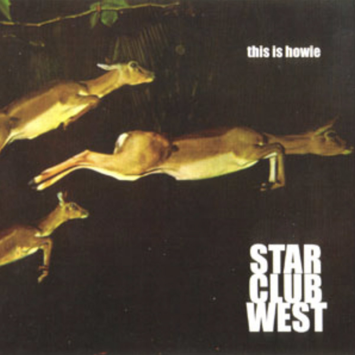 THIS IS HOWIE | STAR CLUB WEST