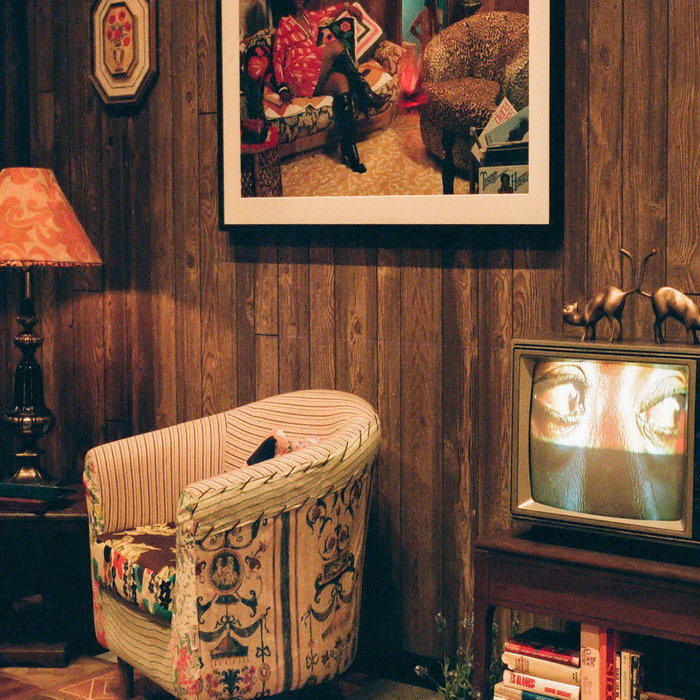 Cardboard Polygon | American Wolf