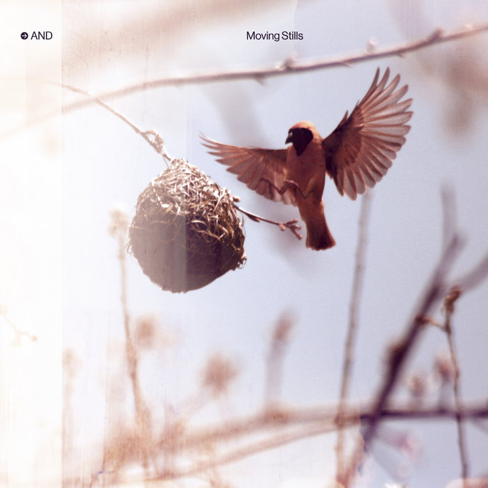 Moving Stills | Anthony Neil Dart | AND