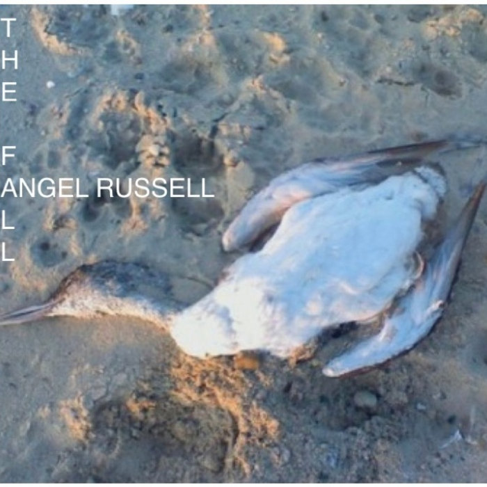 The Fall | Angel Crow