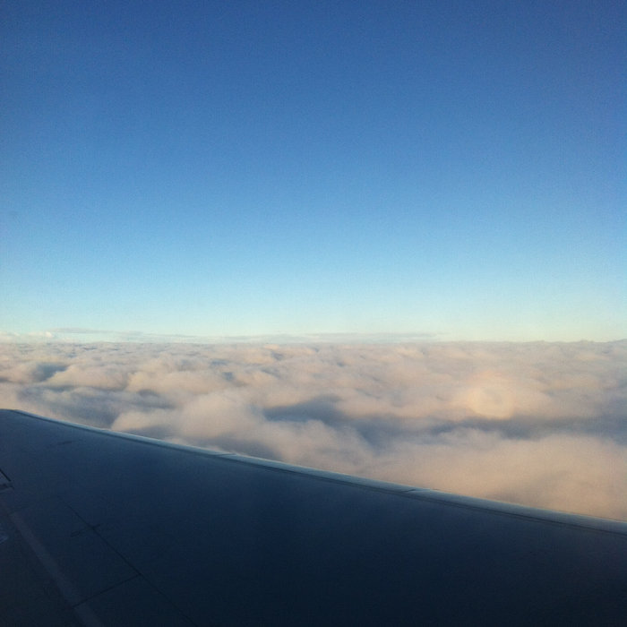 Venturing Into.... | Krystal Castle